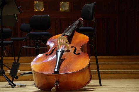 Bass Double Musical Free Photo On Pixabay Pixabay
