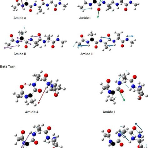 Vibrational Modes For Amide A Amide I Amide Ii And Amide Iii Local Download Scientific