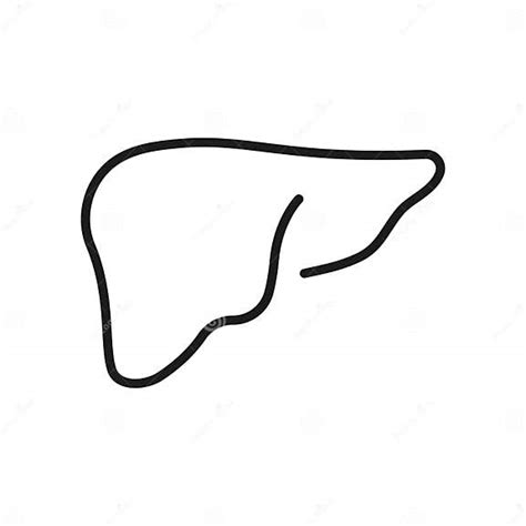 Icona Della Linea Epatica Umana Anatomia Del Pittogramma Lineare Degli