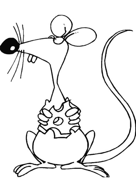 Раскраски раскраски животных мышка раскраска Раскраски без СМС раскраски животных мышка