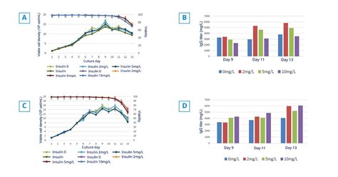 Optimizing Cho K1 Fed Batch Cell Culture Medium For Mab Production