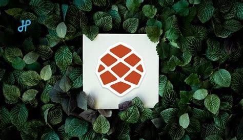 Redwoodjs — Merging Jamstack With Full Stack