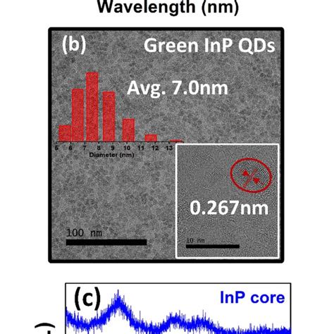 Uv Vis Absorption And Pl Spectra Of Green And Red Inp Qds A Tem Download Scientific Diagram