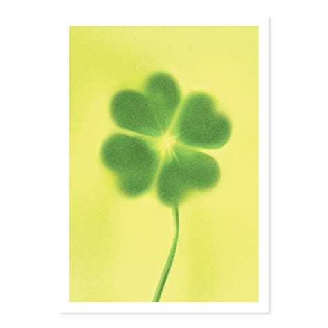 [기묘] Clover 포스터 A3 Paperuler