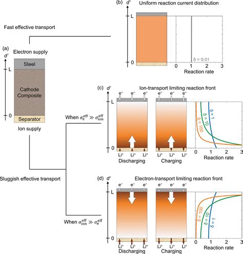Visualizing Reaction Fronts And Transport Limitations In Solid‐state Li