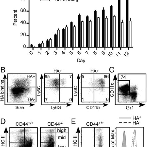 Ha Binding Mhc Ii Mid Low Cells Have An Immature Dc Phenotype But With Download Scientific