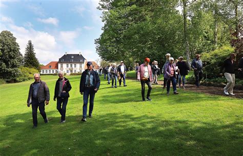 En Maggi Terning Med Historie Sjællandske Nyheder