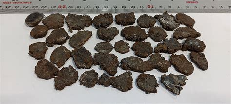 پولکی آهن احیاگران فولاد جوانشیر