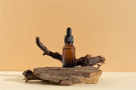 히알루 론산이 든 진한 호박색 유리 병 또는 베이지 색 배경의 마른 가지 근처의 얼굴 혈청 유기 성분을 가진 개념 천연 화장품 디자인의 공간을 복사합니다 정면보기