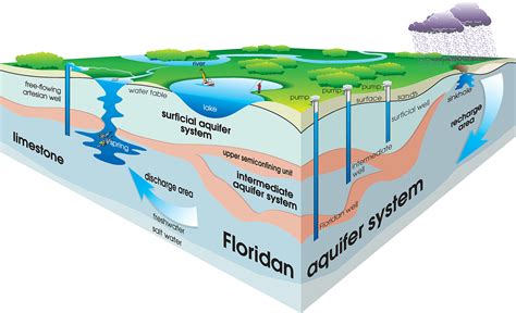 Streamlines Understanding The Importance Of Water Sjrwmd