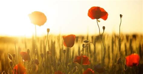 postgres 14 it s the little things r programming