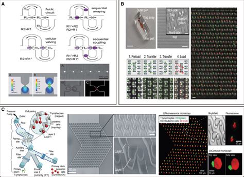 profiling signaling mediators for cell cell interactions and