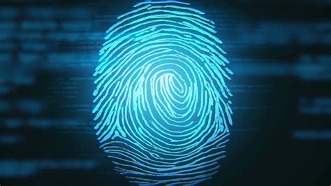 Download Abstract Fingerprint Pattern