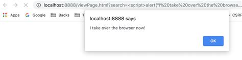 Web Security XSS Protection