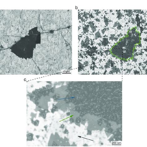 sem images in lens contrast of ws2 flake before a and after b the
