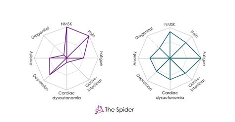 Research Update The Spider A Multisystemic Symptom Impact Tool For
