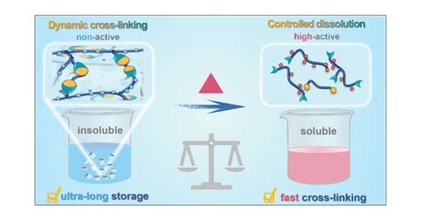 Dynamic Cross Linking Chemistry Enables Advanced One Component