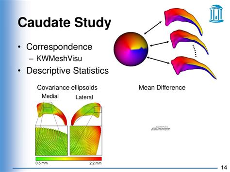 Ppt Framework For The Statistical Shape Analysis Of Brain Structures