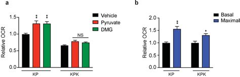 Figures And Data In Activation Of The Nrf2 Antioxidant Program