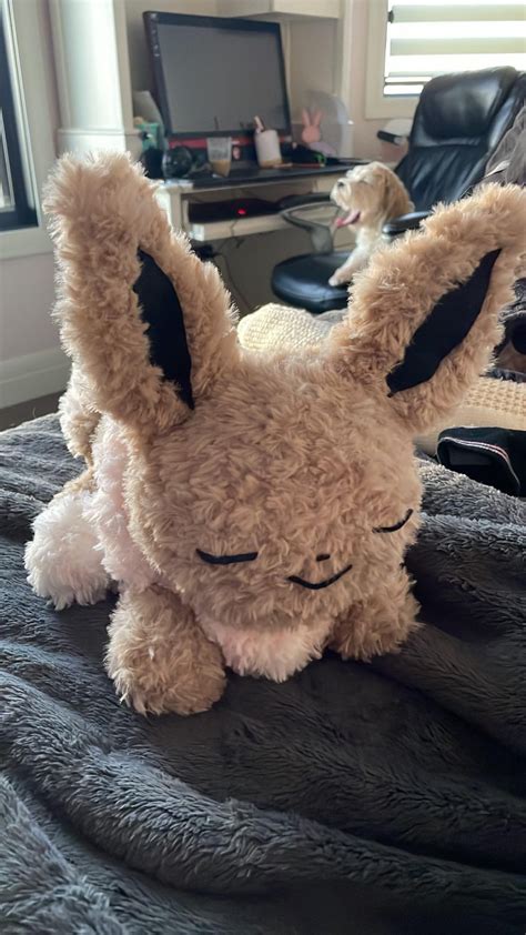Oc I Made A Giant Sleepy Eevee Plushie With Fluffy Yarn A Few Months Ago Shes Got Light Pink Oc I Made A Giant Sleepy Eevee Plushie With Fluffy Yarn A Few Months Ago Shes Got Light Pink