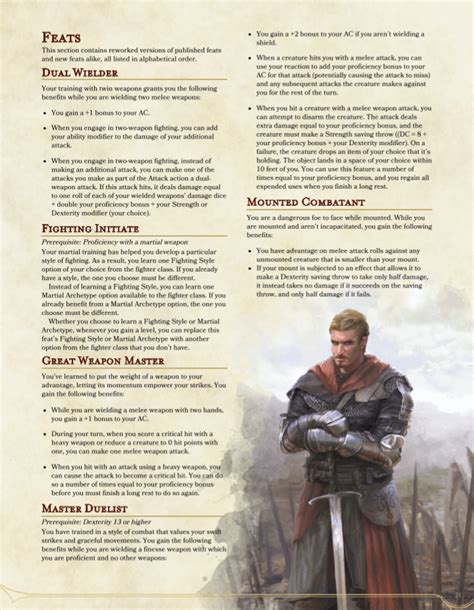 The Heroic Fighter V12 A Full Fighter Class Rework Including 9