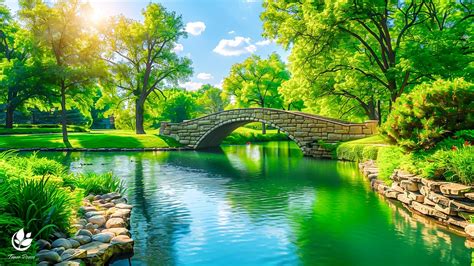 Успокаивающая расслабляющая музыка снижает стресс и перестает думать слишком много 3 Youtube