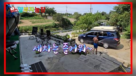 세차는 즐거워 Youtube