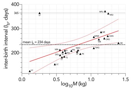 Figure S3 Relationship Between The Logarithm Of Adult Female Body Mass Download Scientific