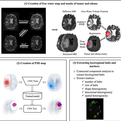 Different Steps Of The Processing Pipeline The Pipeline Consists Of Download Scientific