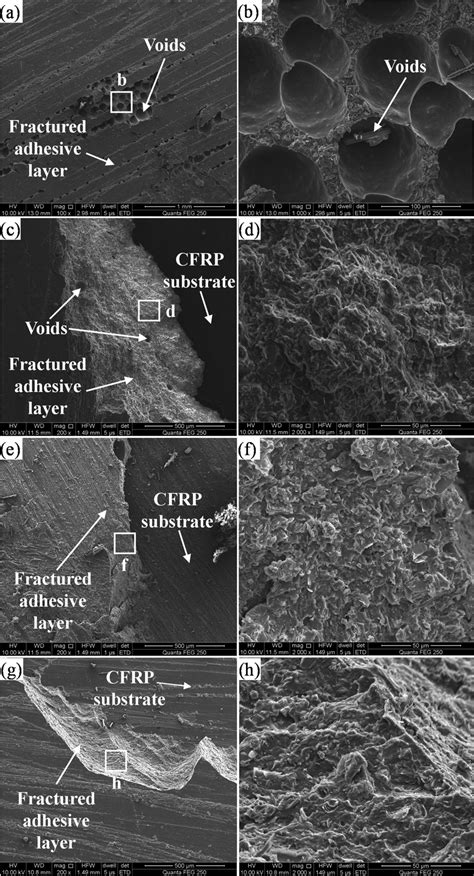 Sem Micrographs Of Fractured Adhesive Layer Of A B Cc 30 Joint Download Scientific