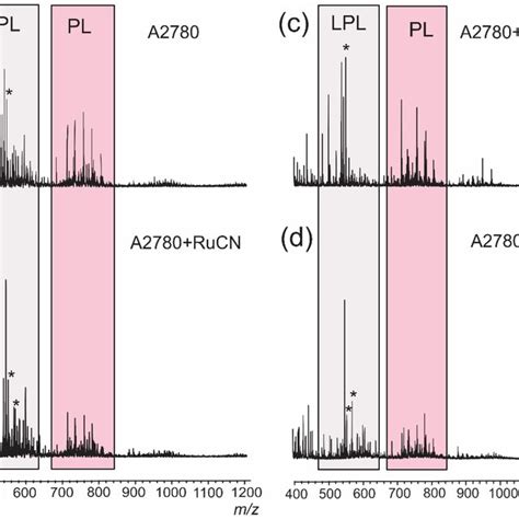 Positive Ion Maldi Tof Mass Spectra Of Extracted Lipids From The A2780 Download Scientific