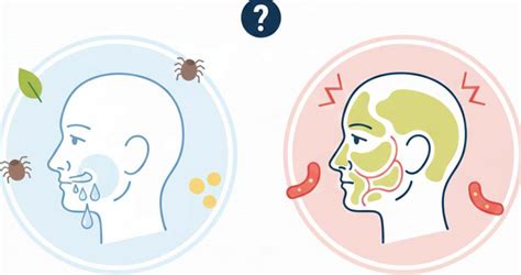 Post Nasal Drip Vs Sinus Infection How To Tell The Difference