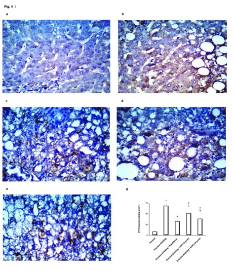 Immunostaining For Inos In The Experimental Groups Ii Effect Of