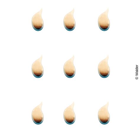 Light The Menorah Walder Education