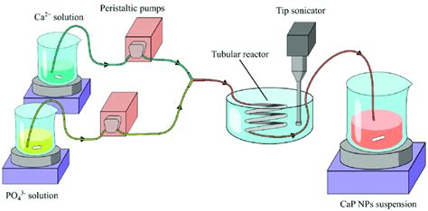 Schematic Representation Of The Experimental Apparatus Download