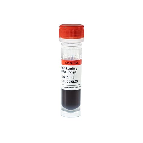 X SDS PAGE Protein Loading Buffer Odorless Reduced Type Ml Smartscience