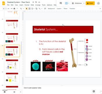 Introduction To The Skeletal System Slides Pear Deck Presentation