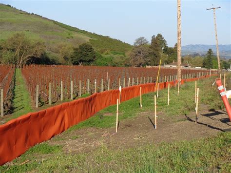 Wildlife Exclusion Fence Special Status Species Protection Ertec