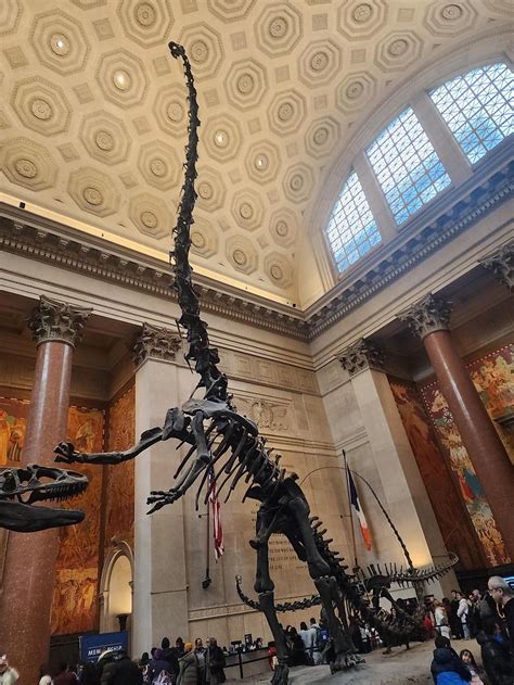 뉴욕 겨울의 센트럴파크를 걸어서 자연사박물관까지