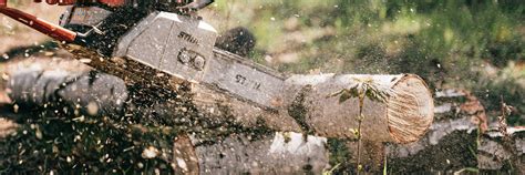 Tree Surgery And Habitat Management Cambridgeshire And Peterborough Tree Surgery And Habitat Management Cambridgeshire And Peterborough