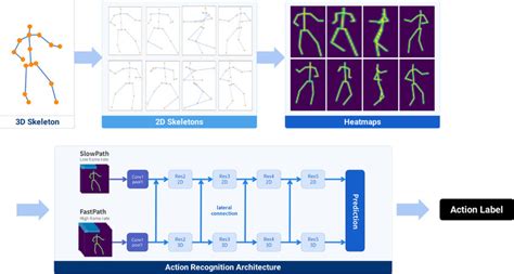 overall architecture of three dimensional 3d convolutional neural