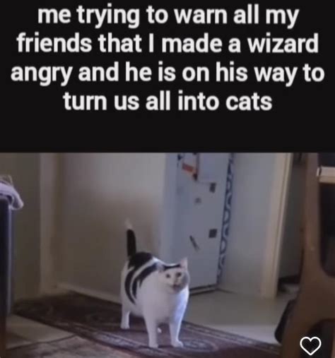 tf irl r tf irl