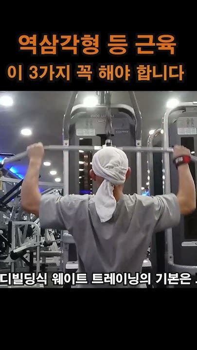 역삼각형 등 근육 만들기 요 3가지 운동만 하면 끝 Youtube