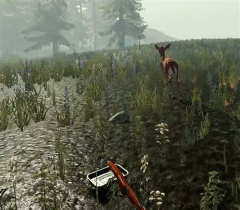 The Forest Vr Review Played In Pcvr On The Oculus Quest 3 — Reality