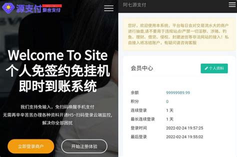 支付平台源码 第三方支付源码 聚合支付源码下载 鸾鸟资源网