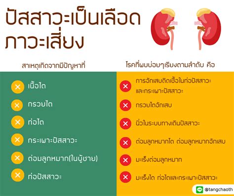 📣 ปัสสาวะเป็นเลือด ภาวะเสี่ยง สาเหตุเกิดจากมีปัญหาที่ 💢 เนื้อไต กรวยไต ท่อไต กระเพาะปัสสาวะ ต่อม