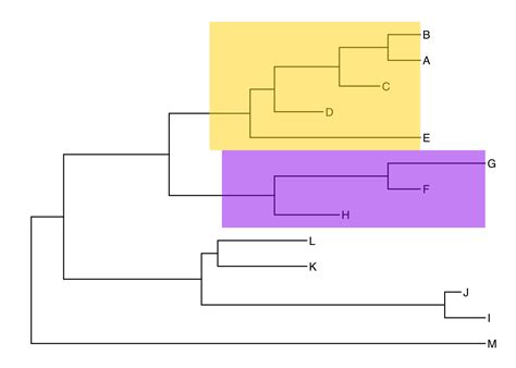 Visualizing And Annotating Phylogenetic Trees With R Ggtree