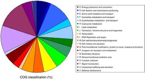 Functional Distribution Of Genes Within The P Halocryophilus Or1 Download Scientific Diagram