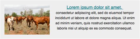 Submit Your Story JCU Australia Submit Your Story JCU Australia