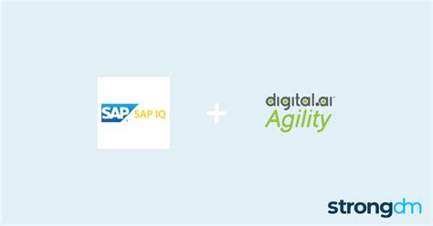 Sap Iq Integrating Into A Versionone Workflow Strongdm